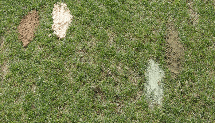 Tee & Fairway Divot Repair Sands | Rapid Recovery | Texas Sands Sports Tee & Fairway Divot Repair Sands | Rapid Recovery | Texas Sands Sports